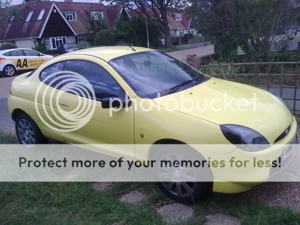 Ford Millenium Puma #456 of 1000 | Project Puma - Ford Puma Car Forum